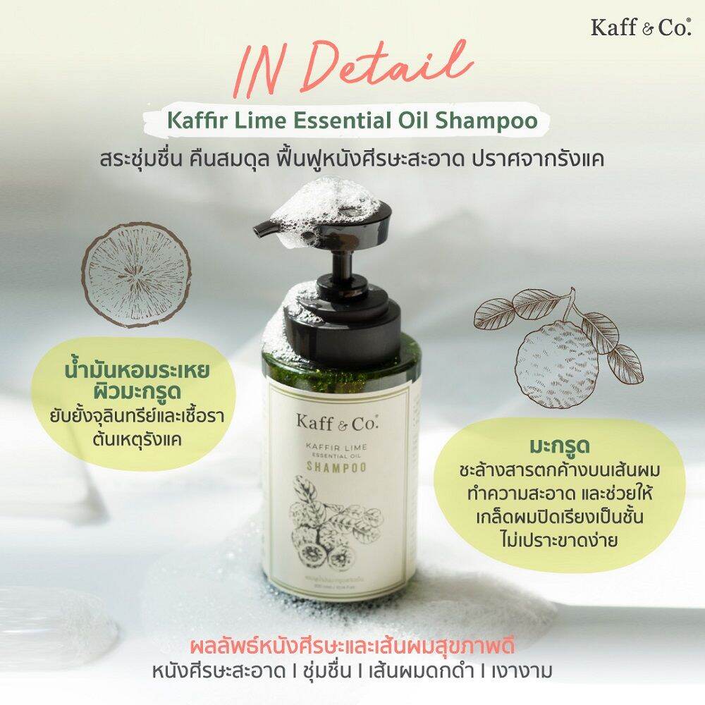 Kaff & Co. ชุดขนาดขนาดเดินทาง 4 ชิ้น เหมาะสำหรับ หนังศีรษะมัน ผมร่วง หงอก มีกลิ่นอับ | Lazada.co.th