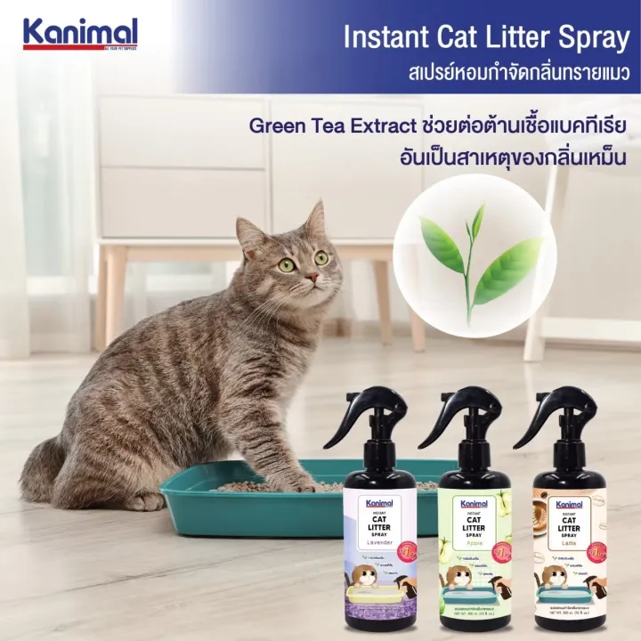 สเปรย์กำจัดกลิ่นทรายแมว กลิ่นอึ กลิ่นฉี่ / Kanimal Cat Litter Spray 300 ml. (กลิ่นใหม่ ลาเวน ...