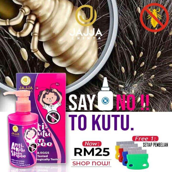 SHAMPOO KUTU JAJJA CHINTA ORIGINAL!! DIJAMIN BERKESAN !!! FREE SIKAT ...
