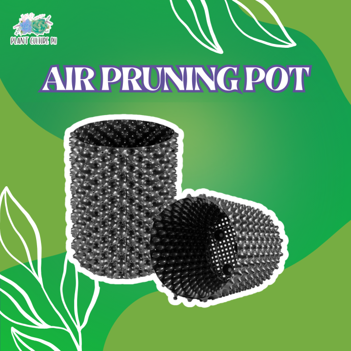 Air Prunning Pots Plant Root Trainer Fast Growth Gardening Container ...