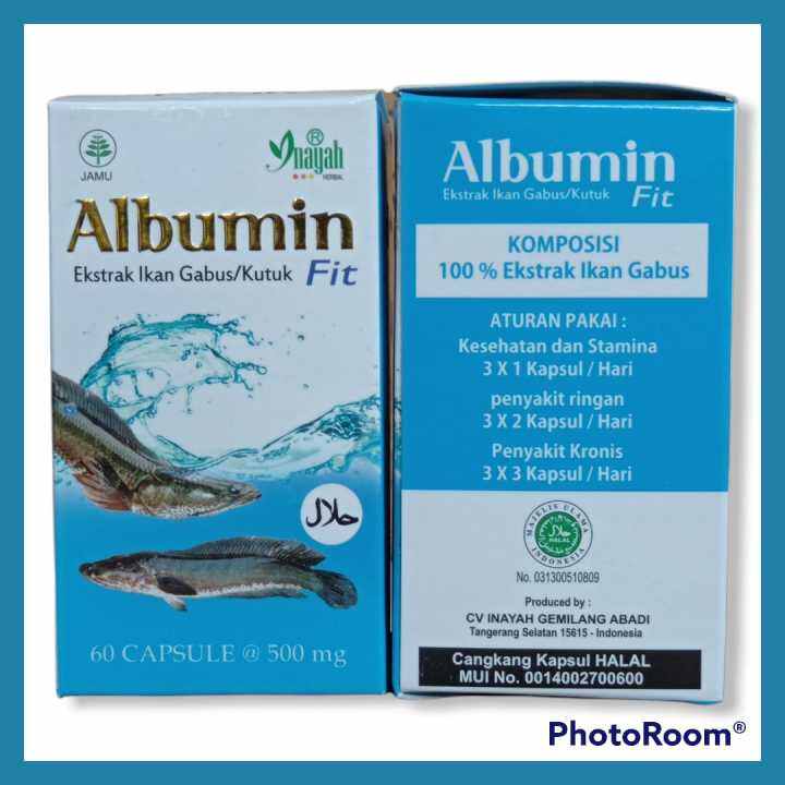 Albumin Fit - Kapsul Ekstra Ikan Gabus / Kutuk - 60 kapsul, Kapsul ikan gabus pro albumin ...