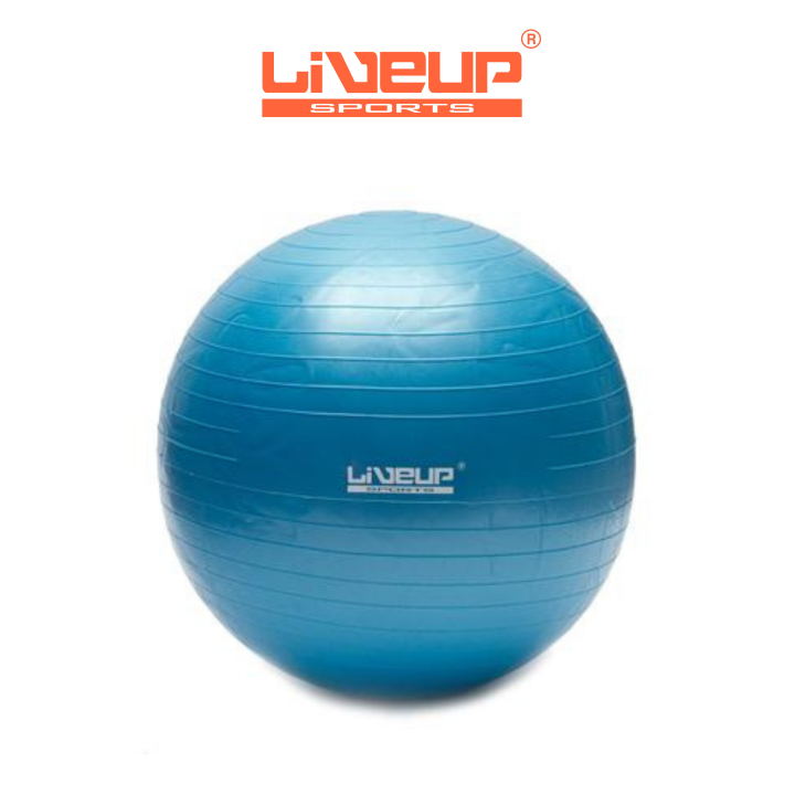 Liveup 55cm Gym Ball | Lazada PH