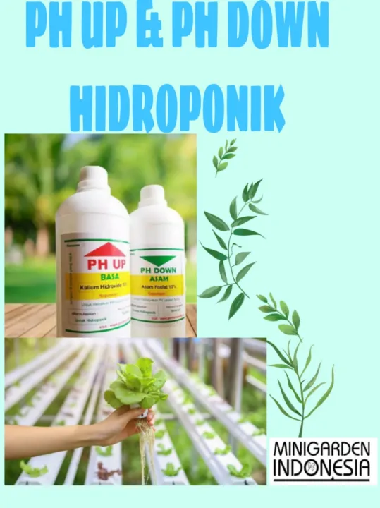 PH UP PH DOWN HIDROPONIK 250 ML Penetral PH Air Nutrisi Tanaman Hidroponik | Lazada Indonesia