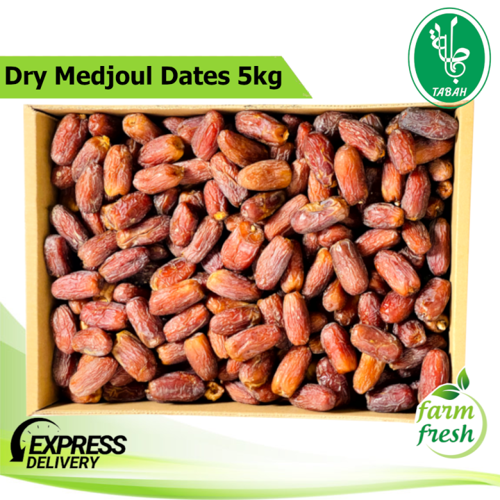 DRY MEDJOUL DATES/KURMA MADJOOL/MEDJOUL SAUDI/WHOLESALE/BORONG/5KG | Lazada