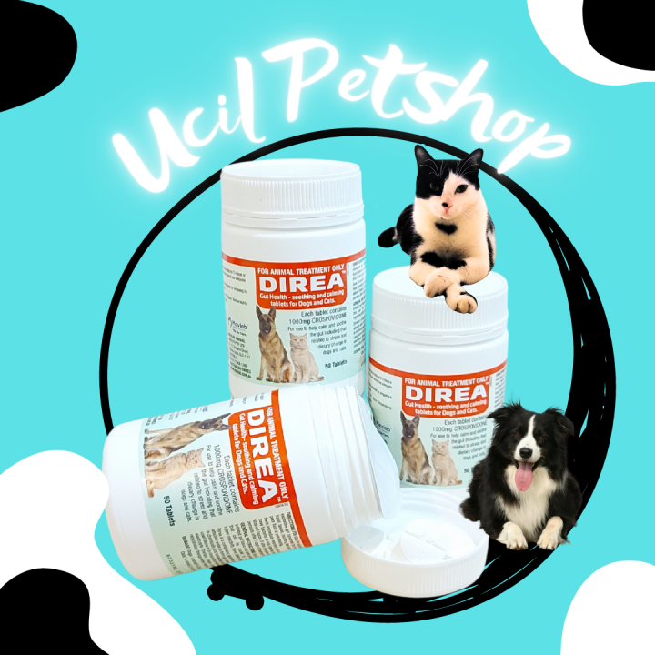 Direa Obat Anti Diare Kucing Anjing (1 Tablet) | Lazada Indonesia