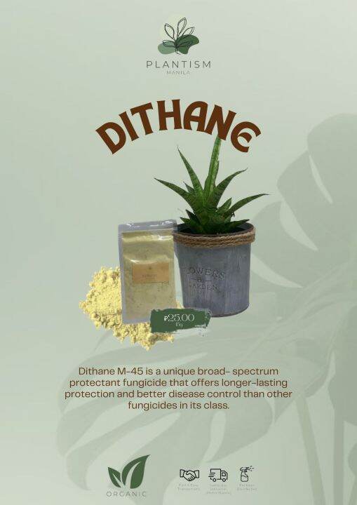 DITHANE Fungicide | Lazada PH