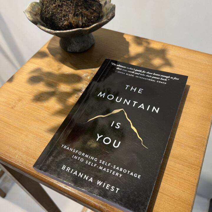 The Mountain Is You by Brianna Wiest(Paperback) New Brand english book ...