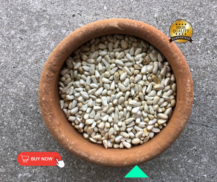 CARDI SEED for pigeons, birds, and other animals 500 grams & 1 kg ...