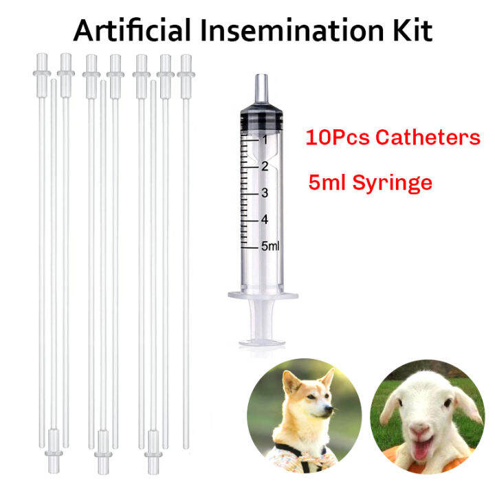 Artificial Insemination Kit 10 Pcs Disposable AI Catheter Cross ...