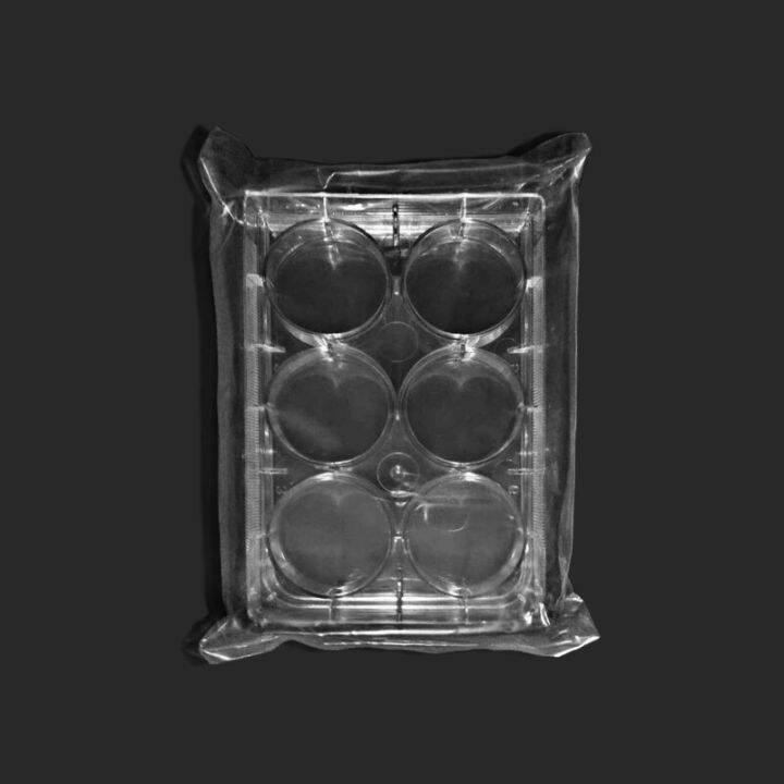 Disposable Cell Culture Plate Bacterial Culture Compartments Bacterial ...