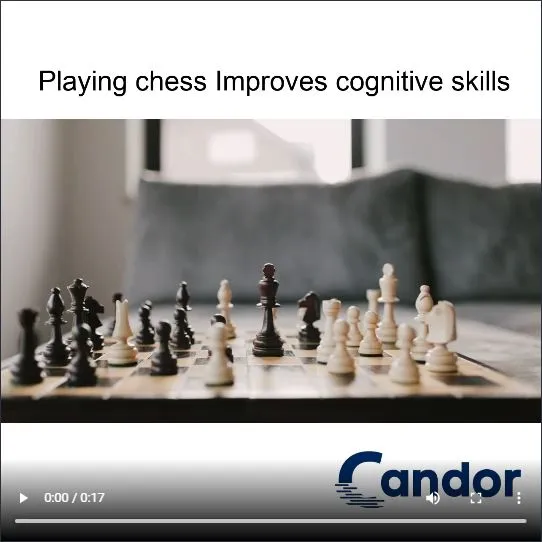 Candor High Quality Folding Brown Chess Board Set for Adult Board Games ...