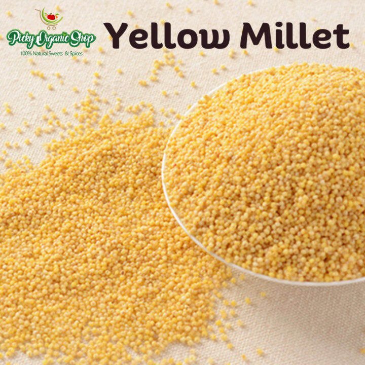 Yellow Millet 475 grams (Cooking with Yellow Millet: A Nutrient-Rich ...