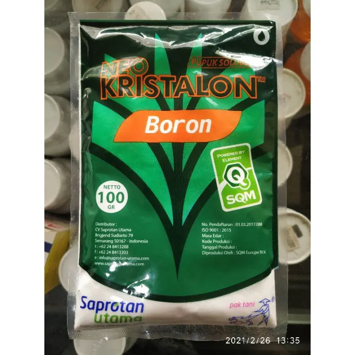 Pupuk Soluble NEO KRISTALON BORON 100 GRAM PT. SAPROTAN UTAMA PAK TANI ...