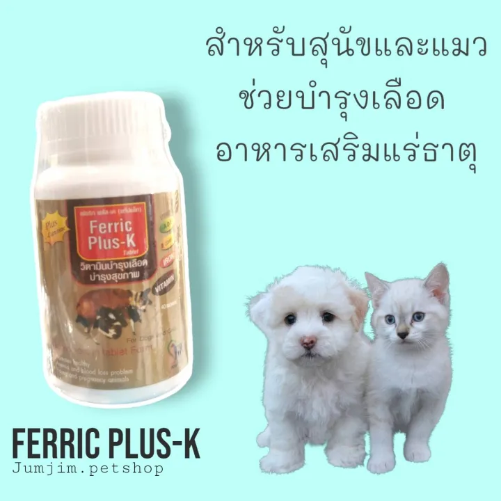 Ferric Plus-k เฟอริก พลัส(กระปุก 40 เม็ด) Exp.06/2023 บำรุงเลือด แม่ ...