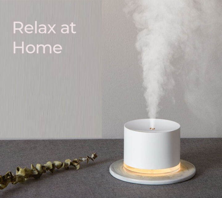 Minimalist Design Air Diffuser with Light | Lazada PH