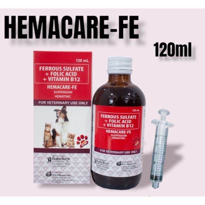 HEMACARE-FE Iron Supplements 120ml | Lazada PH
