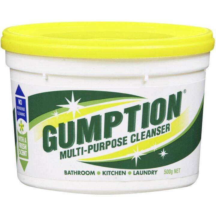Gumption Paste Multi Purpose Cleanser 500g | Lazada PH
