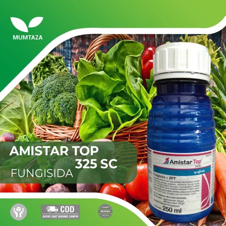 Fungisida AMISTAR TOP 325 SC 50 ML 100 % original | Lazada Indonesia