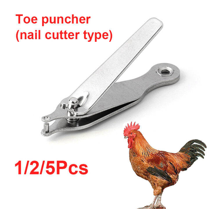 1/2/5Pcs Chick Toe puncher Marker for gamefowl rooster chicken Toe web ...