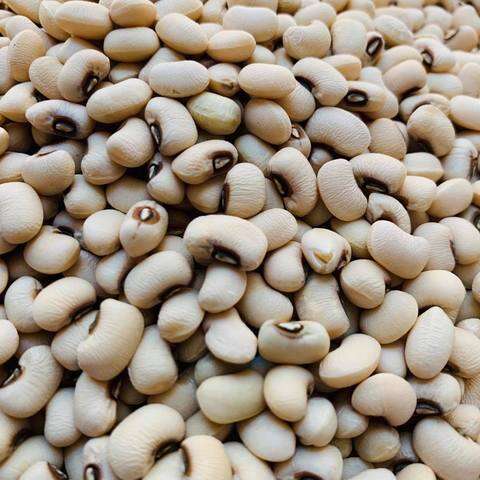 White Sitaw Beans 500G | Lazada PH