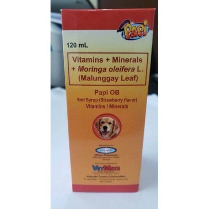 Papi OB Syrup 120ml (Pre and Post-Pregnancy Vitamins) SALE SALE SALE ...