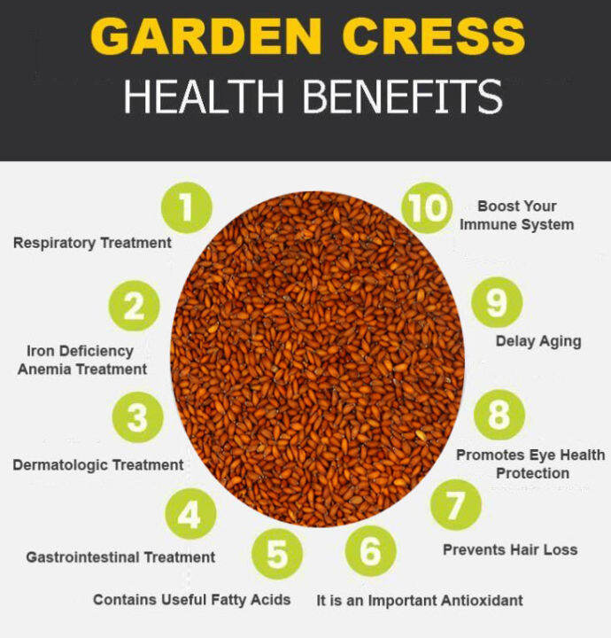 saliya seed / halim seed / garden cress seed 50gm-100gm | Lazada