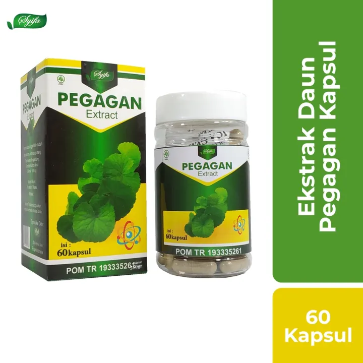 KAPSUL PEGAGAN SYIFA 60 KAPSUL OBAT VERTIGO SUSAH TIDUR | Lazada Indonesia