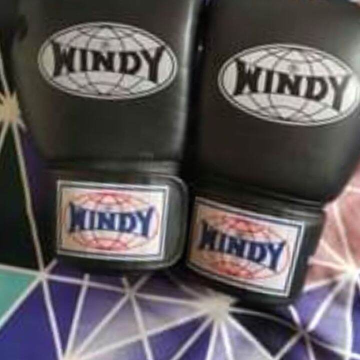 windy boxing gloves | Lazada PH