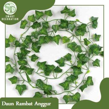 Daun Rambat 1 Lusin Anggur Aesthetic Bunga Dekorasi dinding Hias ...