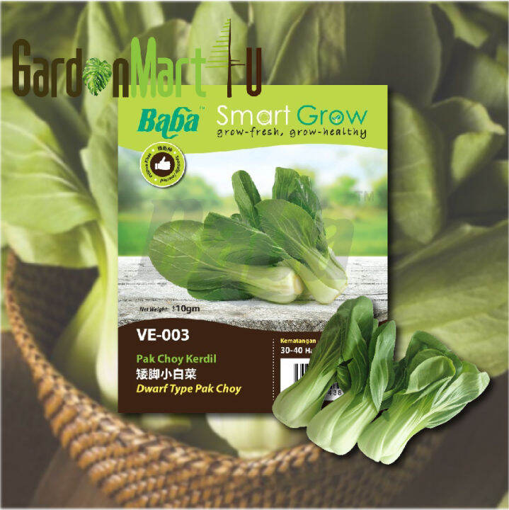 Baba Smart Grow Seeds VE-003 Dwarf Pak Choy (Pak Choi Kerdil) Vege Seed ...
