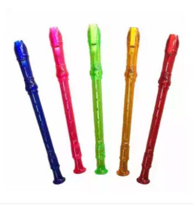 Flute Plastic Recorder set of 5 | Lazada PH