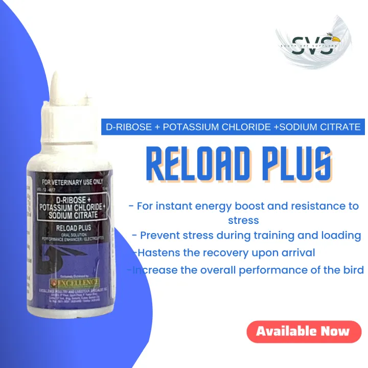 [SOUTH VET] Excellence Reload Plus 10ml Oral Solution For Fighting ...