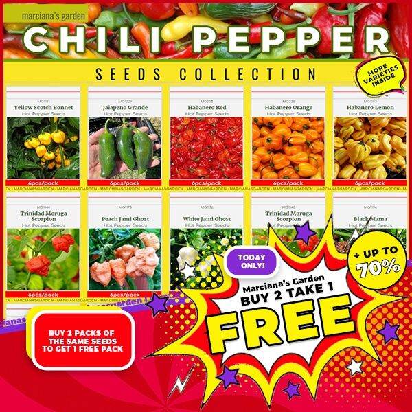 Hot Pepper Seeds Collection - Chili Pepper Seeds - Siling Labuyo ...