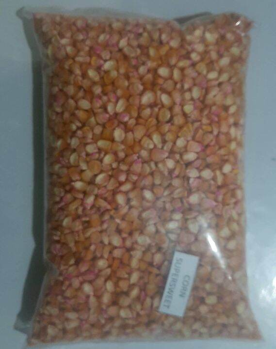 Super Sweet Corn Planting Seeds (1kg) | Lazada PH