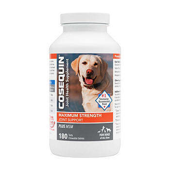 Nutramax Cosequin Maximum Strength Joint Support plus MSM for Dogs, 180 ...