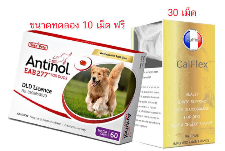 Cal-Flex-Antinol Pack คู่สุดฮิต สำหรับสุนัข | Lazada.co.th