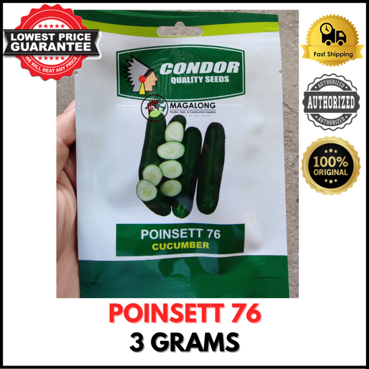 CONDOR SEEDS - CUCUMBER SEEDS - POINSETT 76 3 Grams | Lazada PH