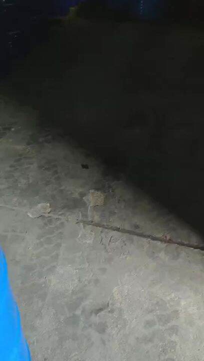 MMB Fire-Free Aromatpy Solvent Flavor Stabilizer Volatile Additive ...