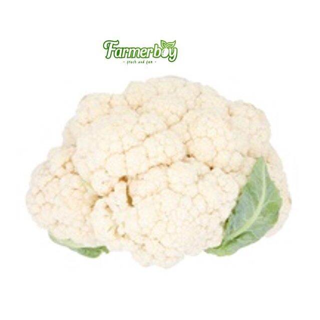 [Buy three Get Ten] Vegetable Seeds Baba Flower Kobis Flat Ground ...