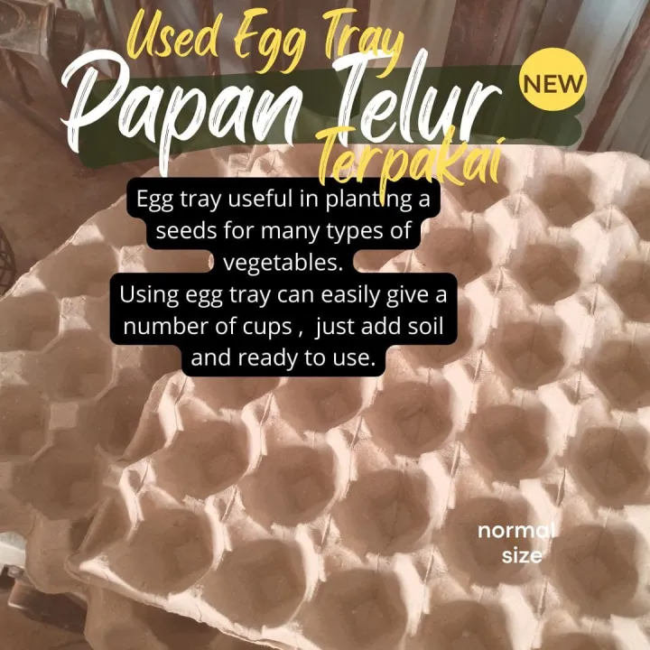 Ready Stock!! Used Egg Tray (papan telur terpakai) for Planting | Lazada