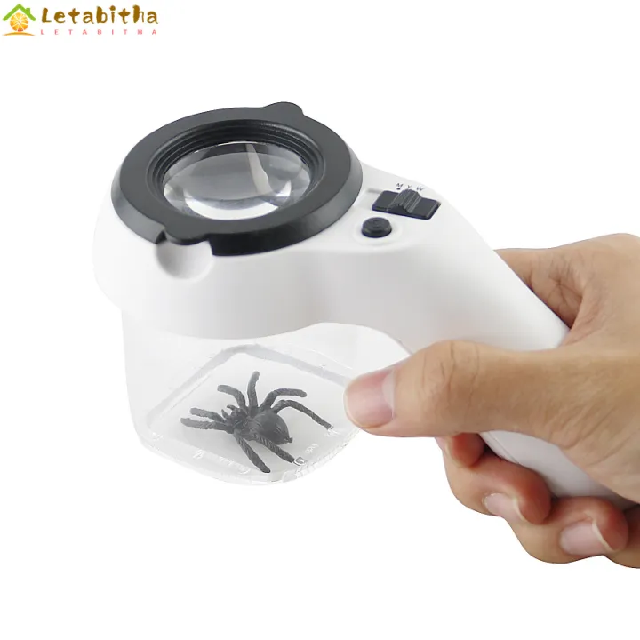 Letabitha【Fast Delivery】8x Insect Bug Viewer Magnifier With Scale 9led ...