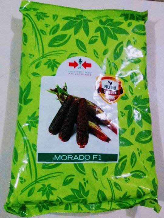 MORADO F1 HYBRID PURPLE CORN SEEDS (KILO) BY EAST WEST SEEDS | Lazada PH