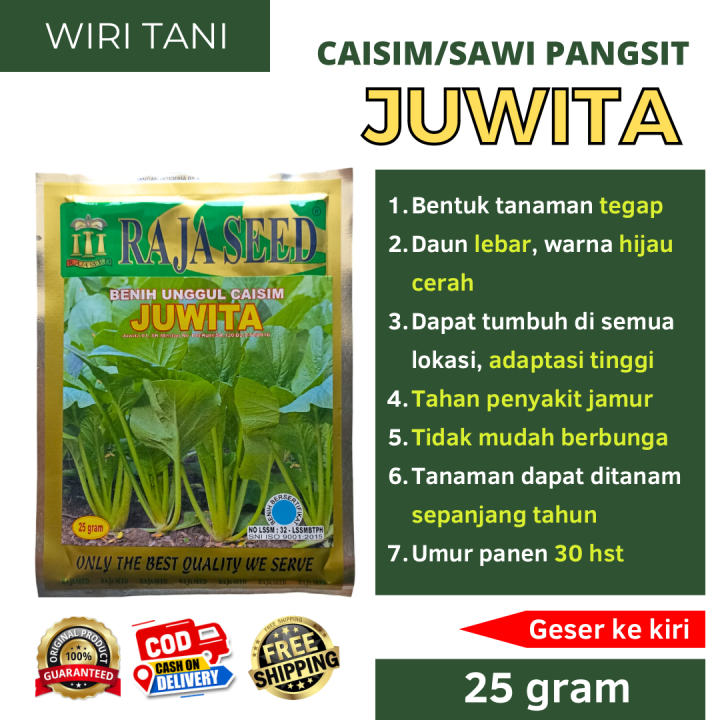 (COD) Benih Caisim/Sawi Manis/Sawi Pangsit JUWITA 25 gram Raja Seed ...