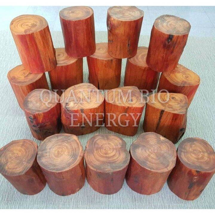 Raja Kayu Merah Asli Gred AAA Pokok Tua Padu (100 ASLI) Damar Minyak ...