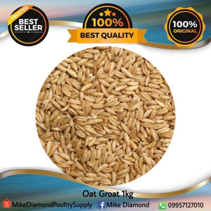 Oat Groat (Australian Premium) 1KG | Lazada PH