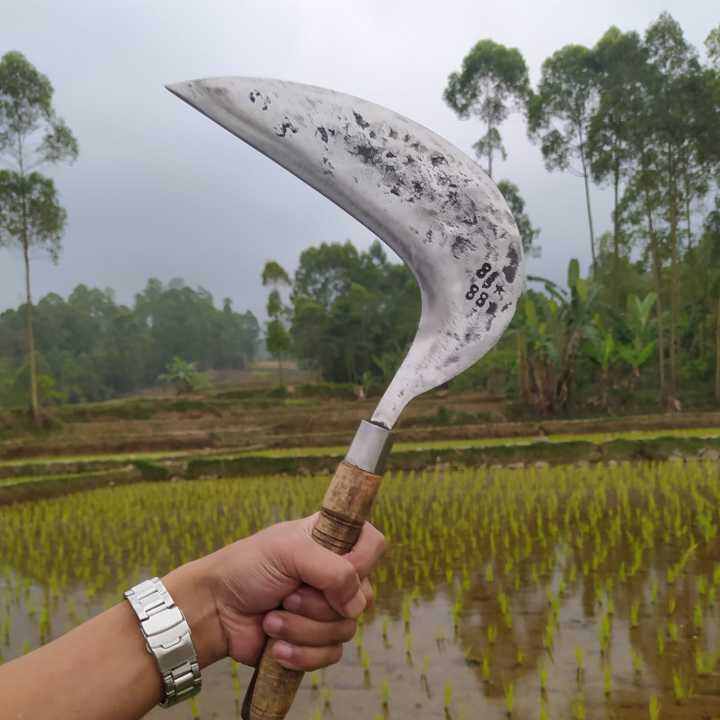 Arit sabit full baja alat perkakas pertanian babat rumput ranting dan ...