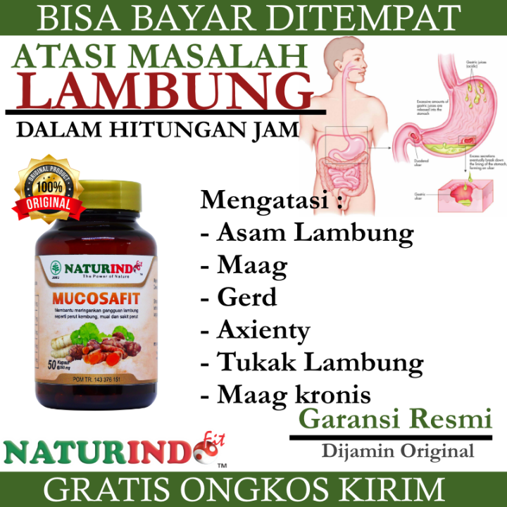 MUCOSAFIT - Obat Infeksi Lambung, Luka Lambung, GERD, Asam Lambung ...