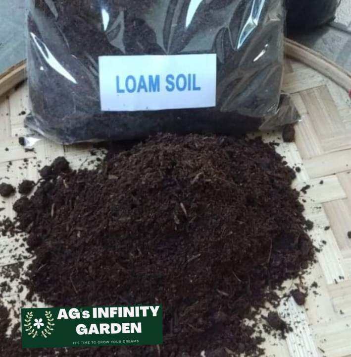ORGANIC LOAM SOIL ( 1KG ) - Ready to use for Plants, such as Ornamental ...