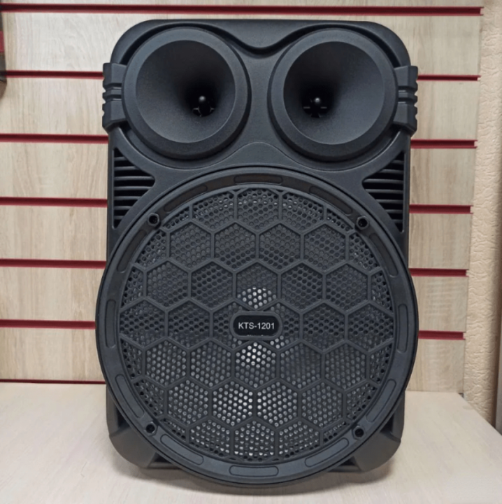 WIRELESS PORTABLE BLUETOOH KARAOKE SPEAKER PLAYER KTS-1201 RECHARGEABLE ...