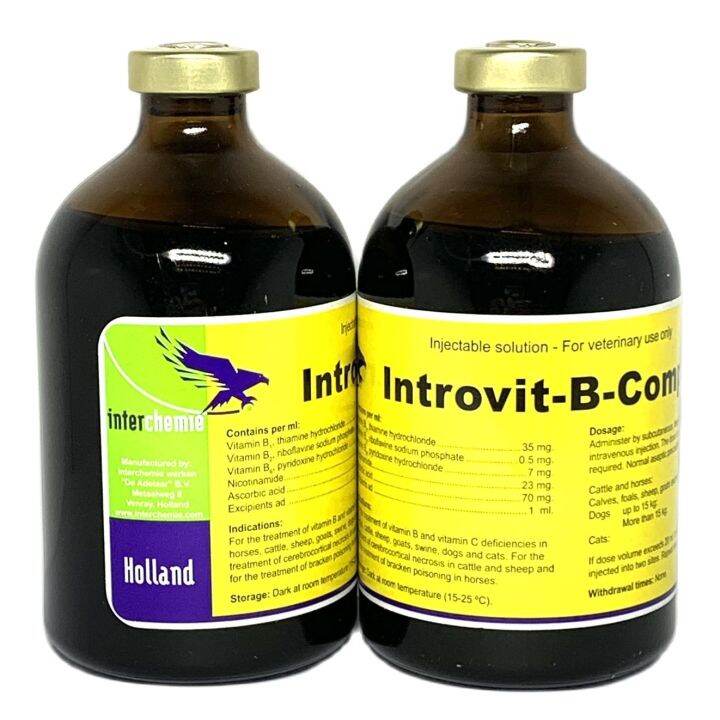 [VETKLIX] INTROVIT B-COMPLEX 100ML | Lazada PH